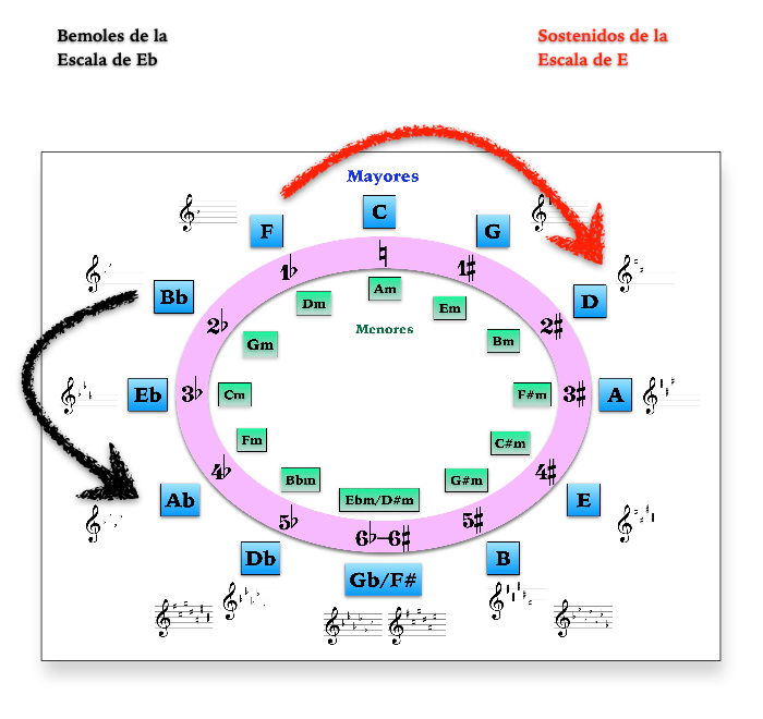 El Círculo de Quintas: Una Herramienta Clave en la Música Tonal